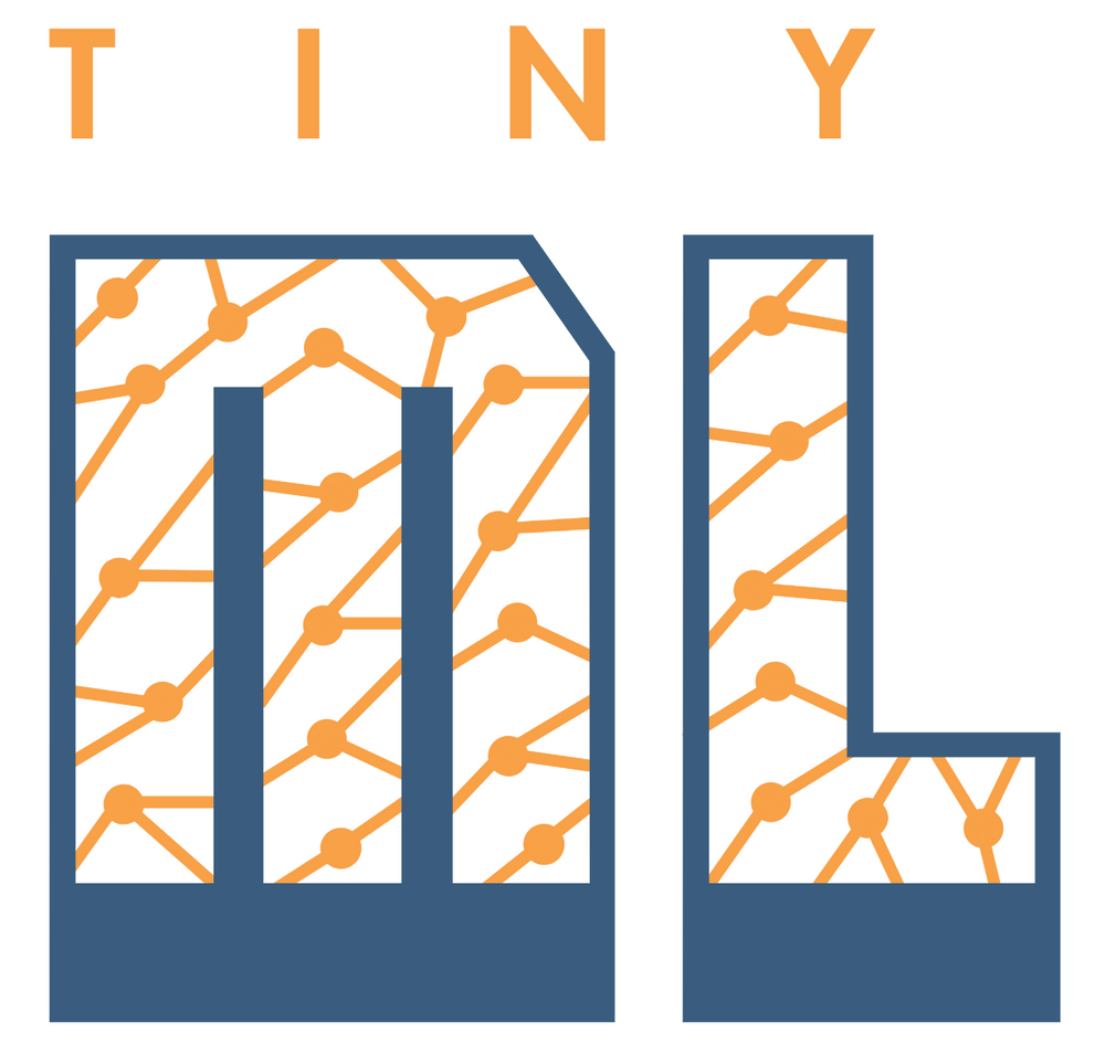 tinyVision.ai